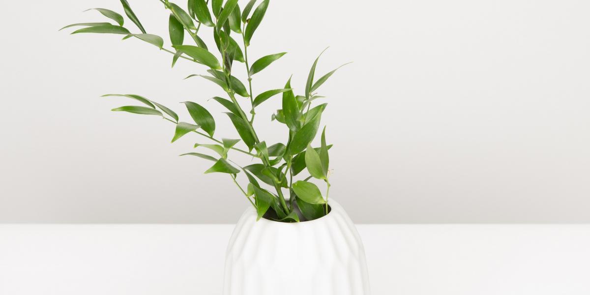 Vision, Mission, and Goals | Shaqra University