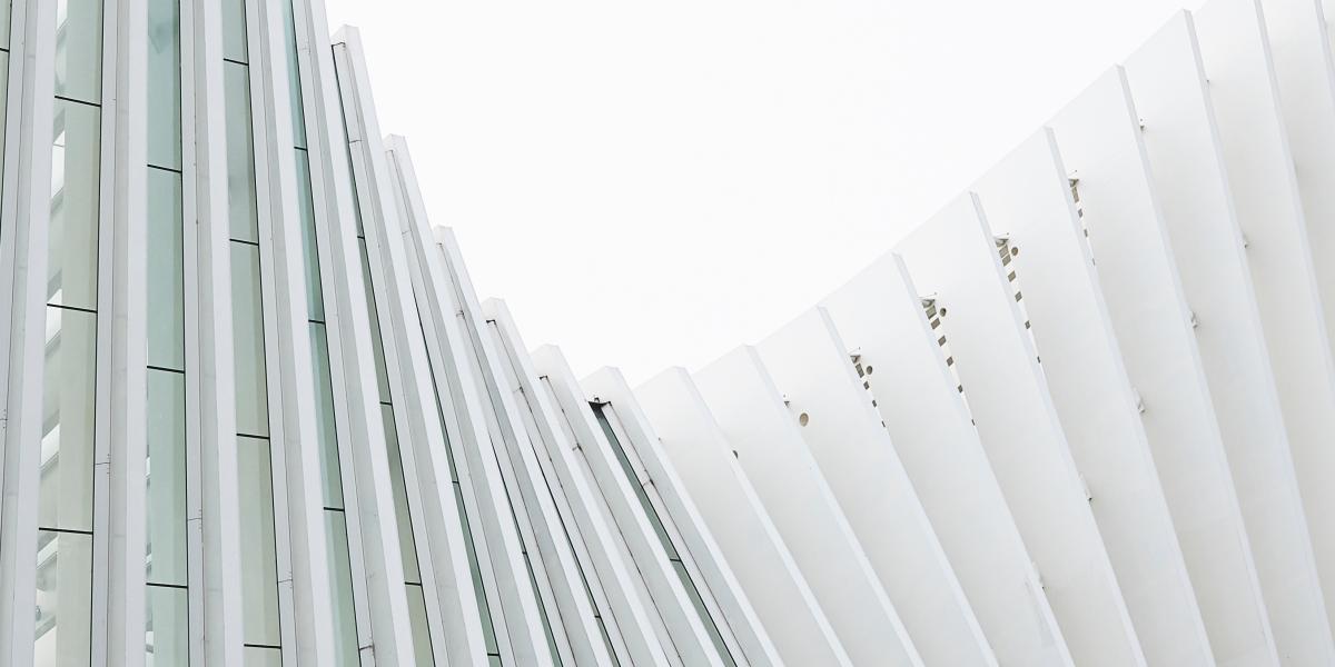 College Structure | Shaqra University